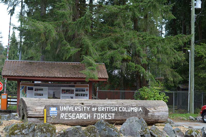 Recreational Activities & Things To Do In Maple Ridge BC